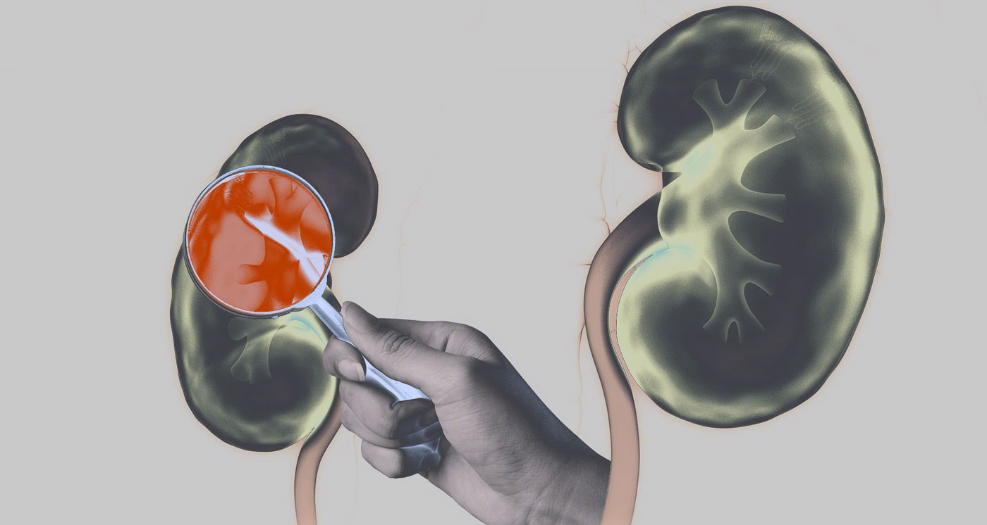 Basic Renal Physiology and Body Fluids - PYS 236 | College of Medicine ...
