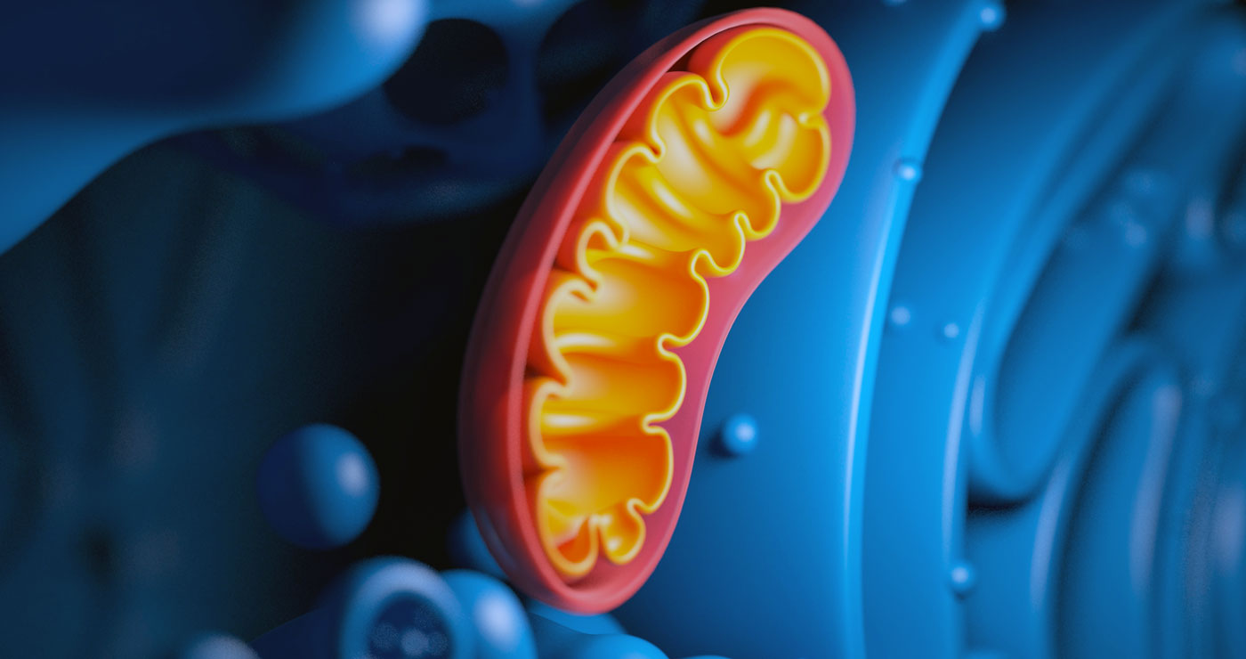 Cell Metabolism and Metabolic Control - MBG 202 | College of Medicine ...